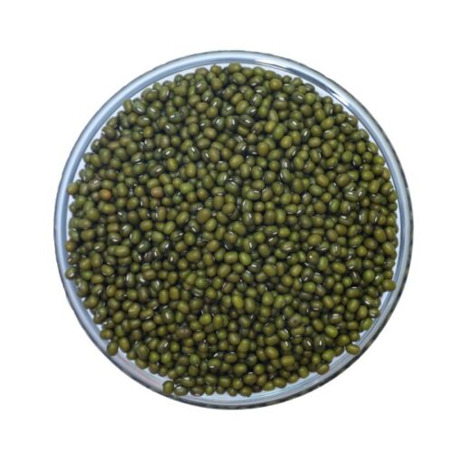 Organic Moong Bean Manufacturer & Wholesale Supplier