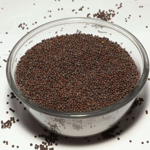 Musturd Wholesale Supplier & Manufacturer